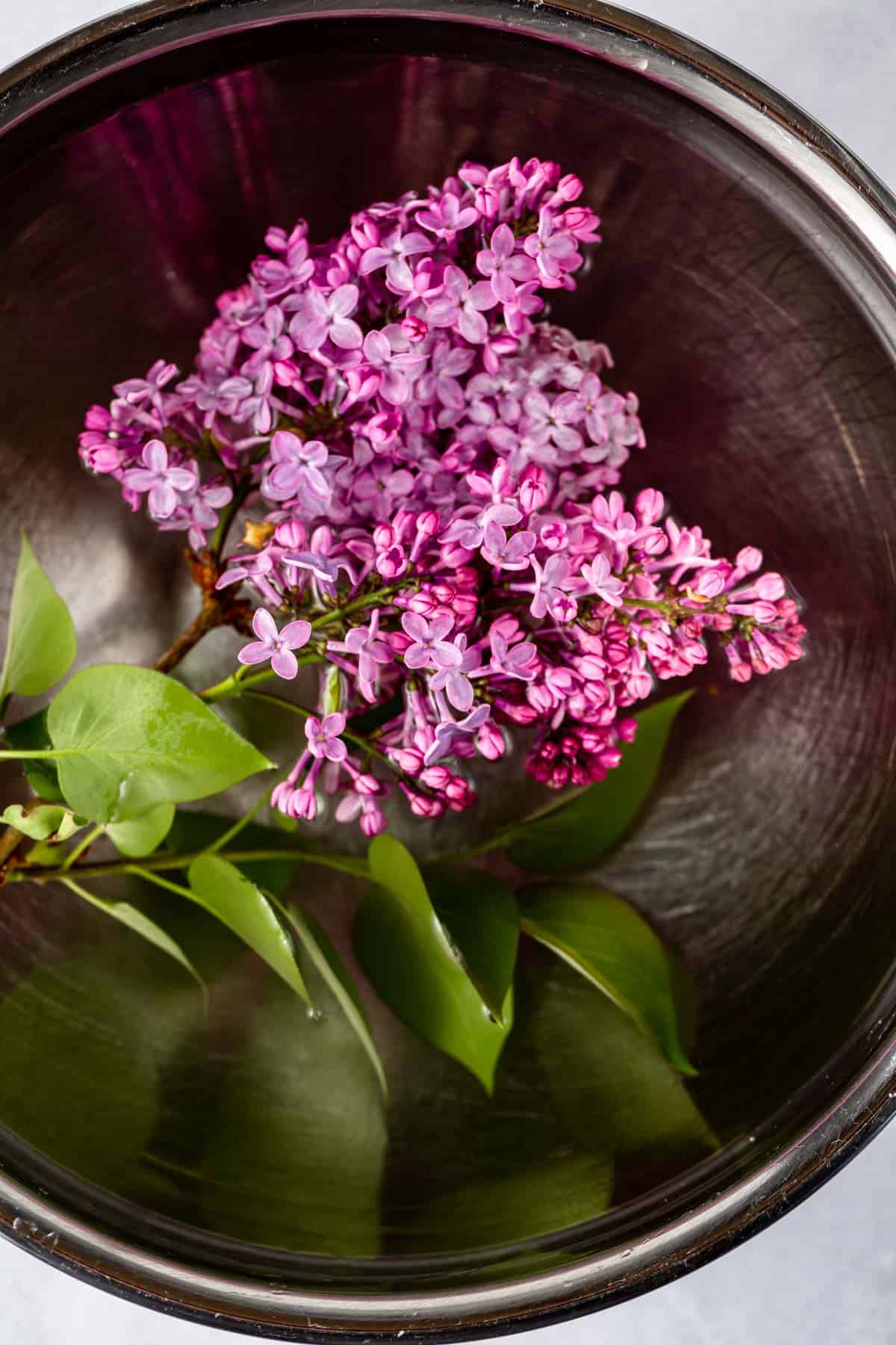 Lilac Flavored Water Recipe • beautifulingredient.com