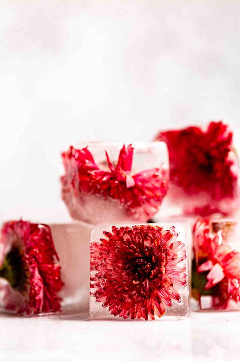 Edible Flower Ice Cubes • Beautiful Ingredient