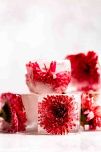 Edible Flower Ice Cubes • Beautiful Ingredient