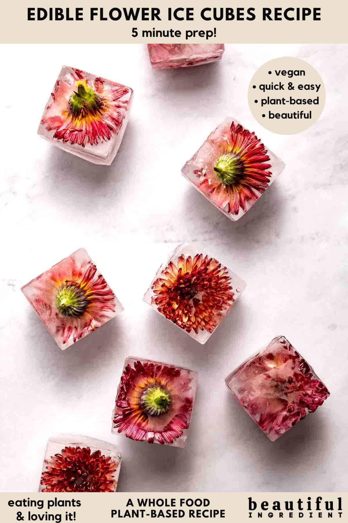 Edible Flower Ice Cubes • Beautiful Ingredient