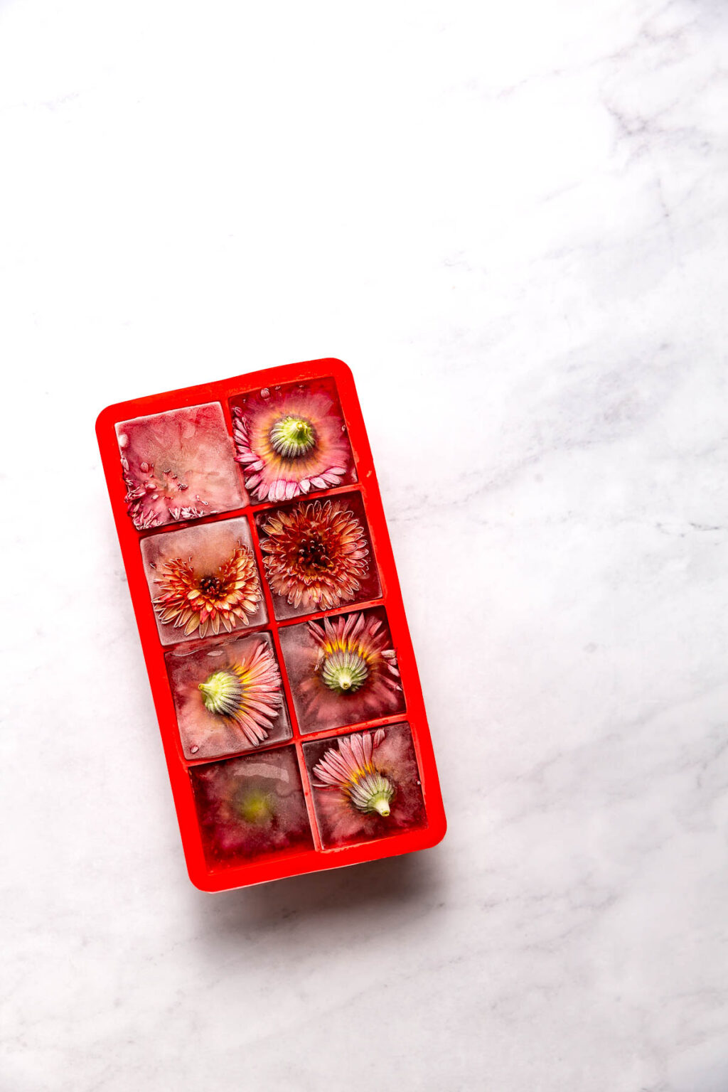 Edible Flower Ice Cubes • Beautiful Ingredient